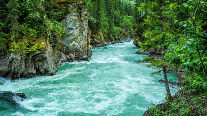 Discover Montenegro river paradise | Porto Montenegro